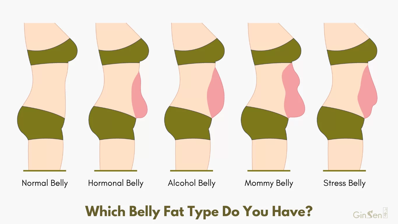 What Causes Hormonal Belly: What it is and How to Treat It